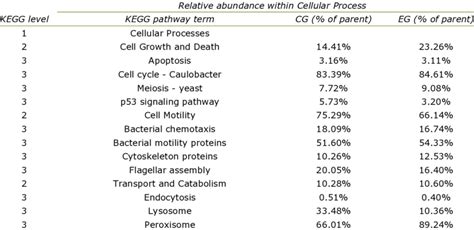 Relative Abundance In Kegg Level1 Level2 And Level 3 Within Cellular