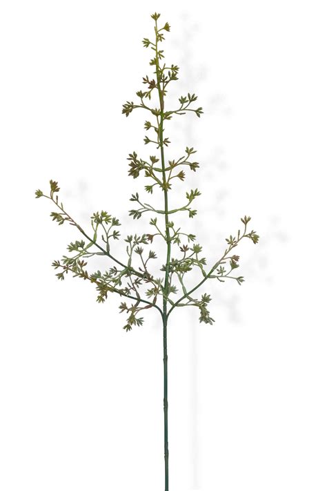 Faux Seeded Eucalyptus Stem The Suffolk Nest