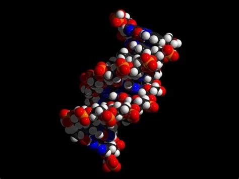 Microsoft Plans To Plunge Into Synthetic Dna Storage Technowize