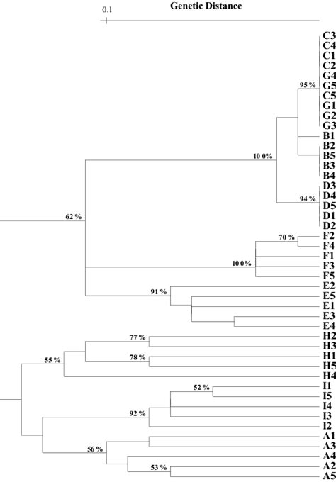 The Upgma Dendrogram Computed Using 28 Genetic Distance Matrix Based Download Scientific