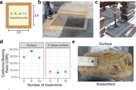 Packets Of Freeze Dried Bacteria Can Grow Biocement On Demand