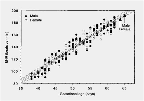 Figure 1 From Development And Sexual Difference In Embryonic Heart