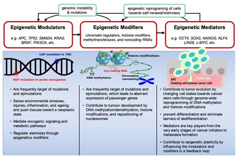 Epigenetics Vs Genetics