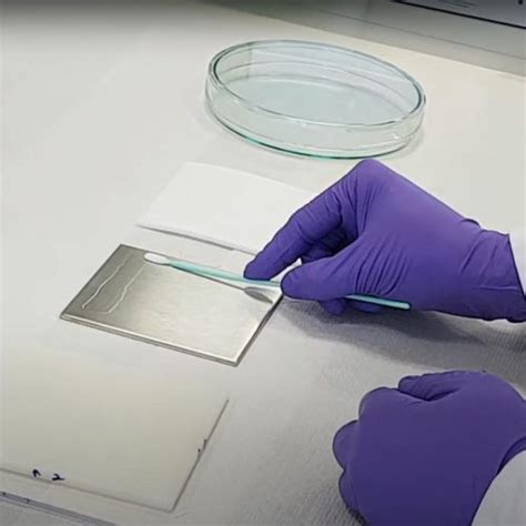 Procedure For Swab Sampling For Validation Of Test Surface To Evaluate Cleaning Efficacy Medico