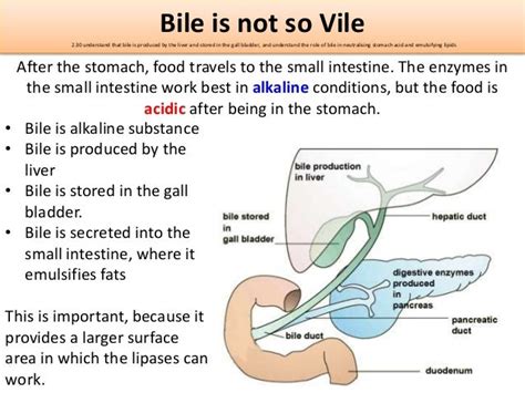 Igcse Biology Edexcel 217 232 Igcse Biology Edexcel 217 232
