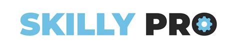 How To Make A Flutter Counter App With Provider Skillypro