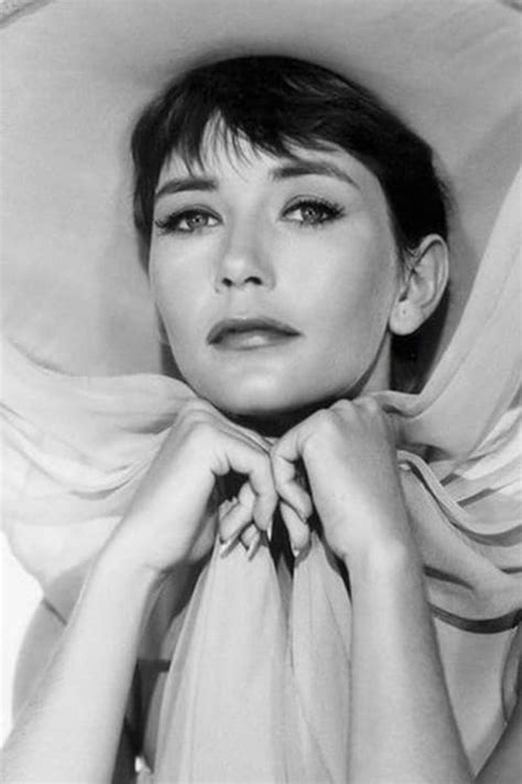 Barbara Bostock — The Movie Database Tmdb