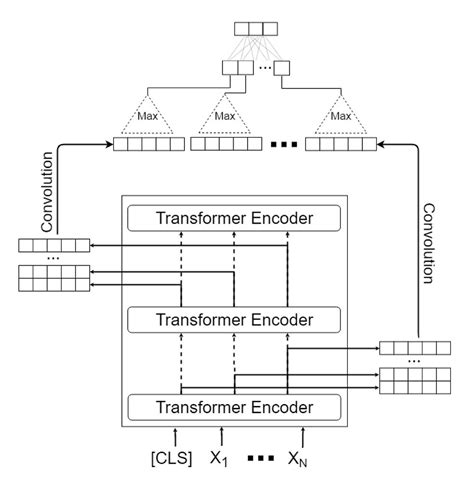 Bert Based Cnn Convolution And Maxpooling Pytorch Forums