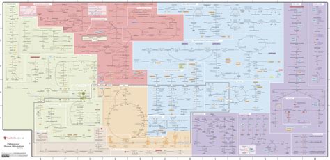 Biochemistry Metabolic Pathways Map Hot Sex Picture