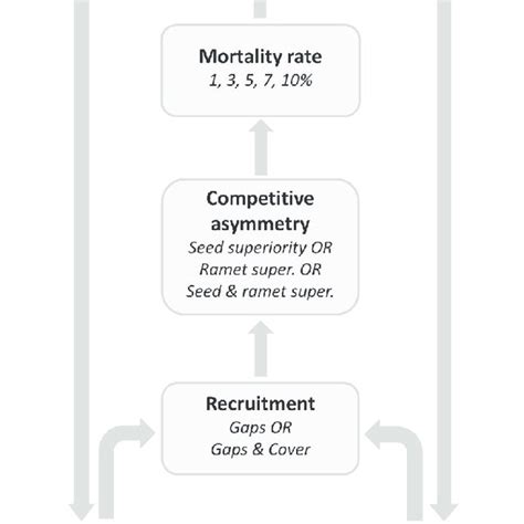 Overview Of Spatially Explicit Simulations Parameters Included In The