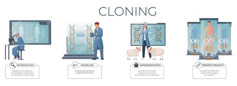 Free Vector Cloning Genetics Set Of Infographic Compositions With
