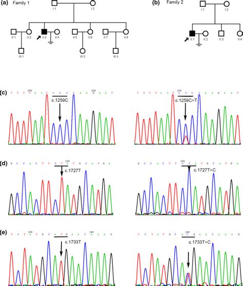 Novel Mutations In The Plcz1 Gene Associated With Human Low Or Failed Fertilization Pmc
