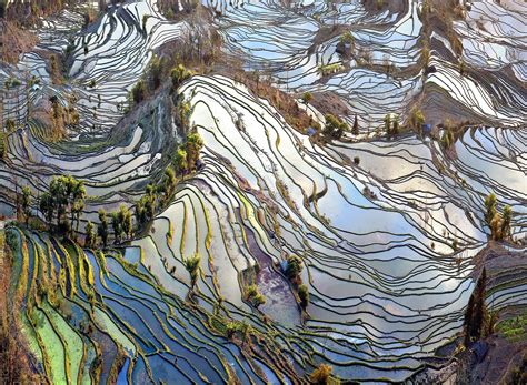 Discover 9 Constructal Theory Designs And Aerial Ideas Landscape Rice Terraces Nature And More