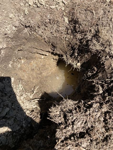 What Is Going On With This Hole I Dug Rlandscaping