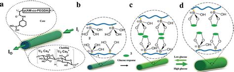 Figure 5 From Nanocomposite Hydrogel Fibers In The Field Of Diagnosis