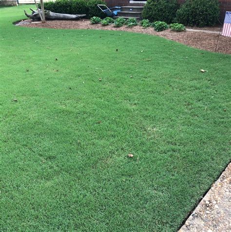 Davenport Landscape Management Client Lawn Facebook