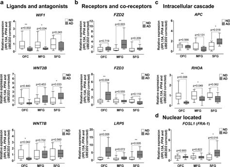 Relative Mrna Expression Levels Of Significant Findings From Profiling Download Scientific