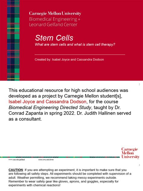 Stem Cells Pdf Stem Cell Cell Potency