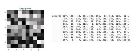 Computer Vision Pulp Learning Tutto Sul Machine Learning