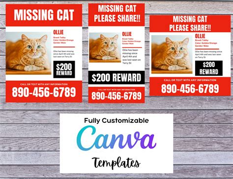 Missing Cat Flyer Kit Lost Cat Poster Set Social Media Package Tiktok Facebook Instagram