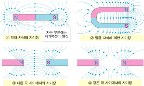 금성출판사 티칭백과