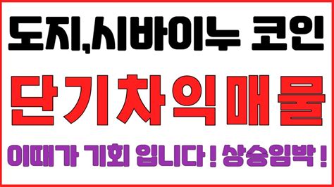 도지코인시바이누코인 단기차익매물 이때가 기회 입니다 상승 임박 불독코인프리세일코인시바이누코인리플이더리움도지코인코인단타사면가tv Youtube