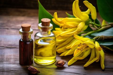 Ylang Ylang Or Cananga Odorata Flower Essential Oil Alongside Ylang