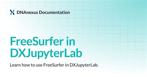 freesurfer in dxjupyterlab dnanexus documentation