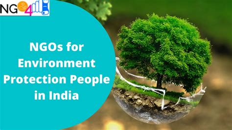 Top Ngos For Environment Protection In India Sustainable