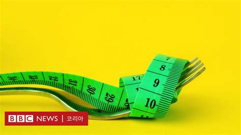 건강 칼로리 계산에 대한 오해와 진실 Bbc News 코리아