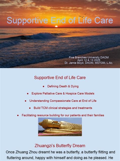 Supportive End Of Life Care Pdf Palliative Care Death