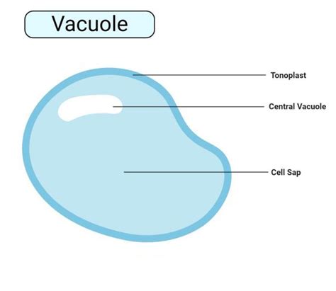 Particulate Inheritance Biology Simple