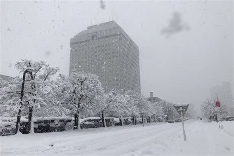 19日に新潟県を襲った大雪なぜ豪雪地帯の妙高や湯沢では少雪に 新潟県内のニュースにいがた経済新聞