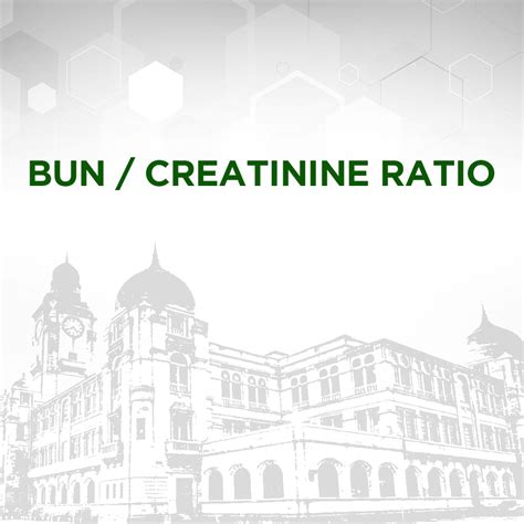 Bun Creatinine Ratio Test Kmc Labs