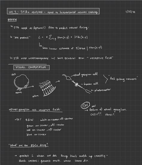 AMATH Introduction To Neural Coding And Computation Hannah Lee