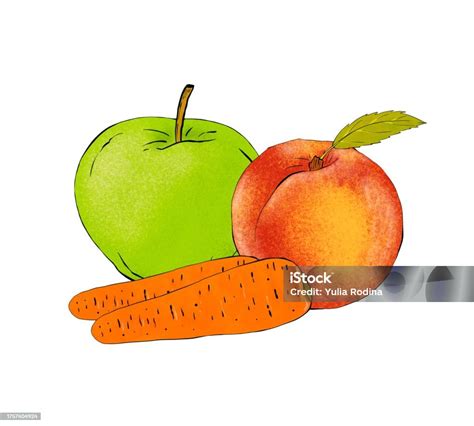 신선한 과일 구성 절연 통하고 있는 백색 배경 녹색 사과 복숭아와 당근 채식 음식 손으로 그린 그림 0명에 대한 스톡 벡터 아트