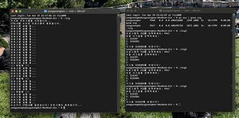 signal handler 에 대해서 터미널2개로 signal handler로 pid 핸들링 프로그램으로… by demian yoo 유 경모 medium