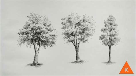 Easy Tree Sketch Step By Step Tree Sketches Tree Drawing Tree Pencil Sketch