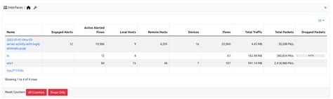 Interfaces — Ntopng 63 Documentation