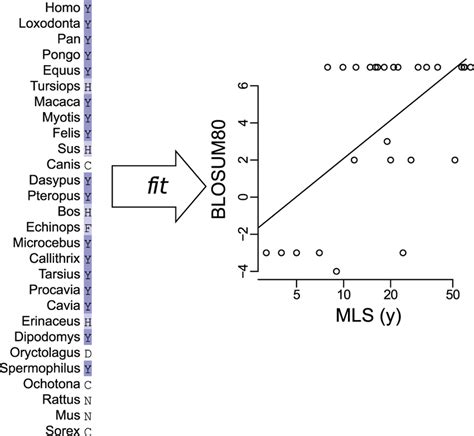 conceptual example of our multiple regression method applied to a