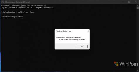 Activate Windows 11 Pro Cmd