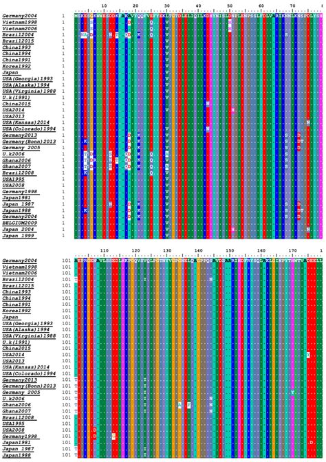 Multiple Sequence Alignment For A Part Of The Retrieved Strains For The