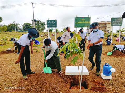 လွိုင်ကော်မြို့၌ မိုးရာသီ စုပေါင်းသစ်ပင်စိုက်ပျိုးပွဲကျင်းပ Myanmar
