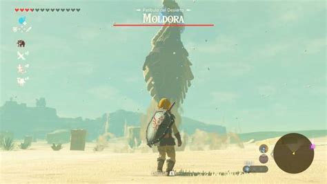Zelda Breath Of The Wild Moldora