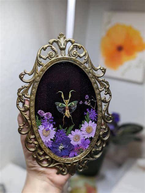 This Buggo Is Dancing In The Moonlight Rgoblincore