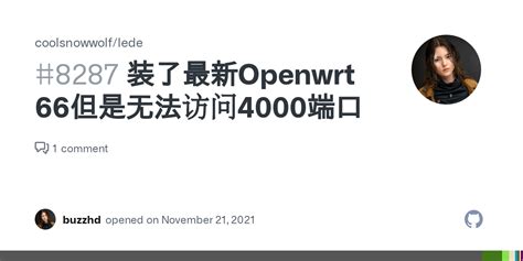 装了最新openwrt 66但是无法访问4000端口 · Issue 8287 · Coolsnowwolflede · Github
