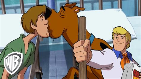 Scooby Doo Mystery Incorporated Shaggy And Velma Kiss