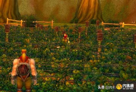魔兽世界怀旧服：永久60怎样了？人确实不多，但游戏本质回归