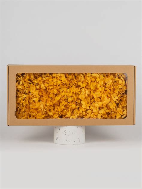 Гортензія стабілізована гірчична 100 г купити за ціною 1899 грн • Dfb