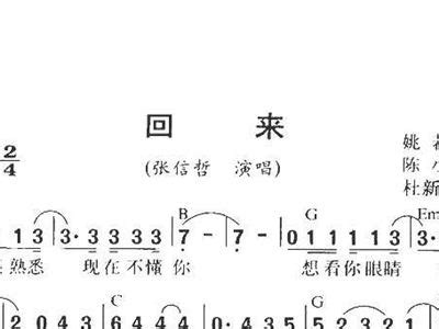 回来 带和弦 张信哲 歌谱 简谱